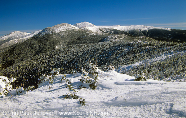 Mount Pierce - White Mountains, New Hampshire Photography