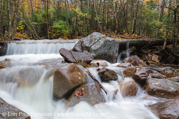 Pemigewasset Wilderness - Designated Wilderness Area, New Hampshire
