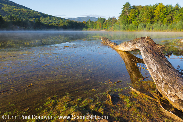 Thorne Pond Conservation Area - Bartlett, New Hampshire Images