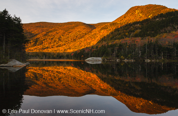Beaver Pond, Kinsman Notch - Roadside New Hampshire