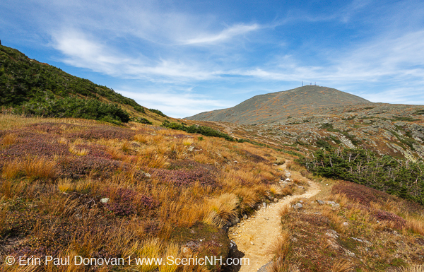 Crawford Path - White Mountains, New Hampshire Photography
