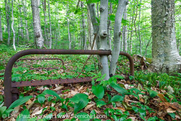 Gordon Pond Railroad - White Mountains, New Hampshire