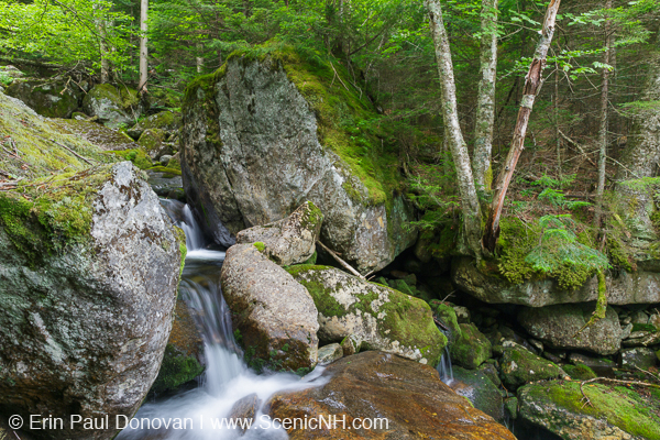 Cold Brook Cascades - White Mountains, New Hampshire