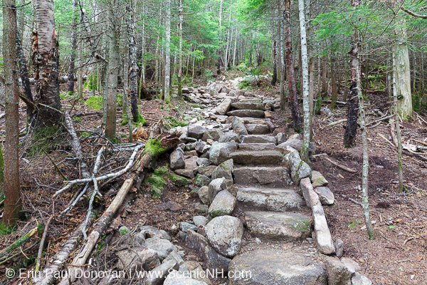 Mt Tecumseh Trail - Mount Tecumseh, White Mountains, New Hampshire
