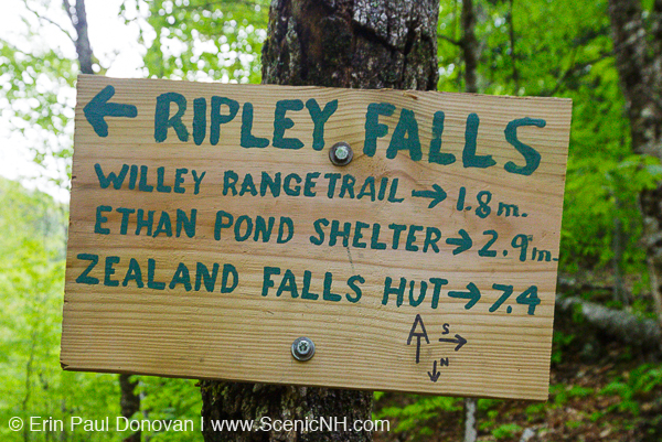 Ripley Falls - Crawford Notch, New Hampshire Waterfalls