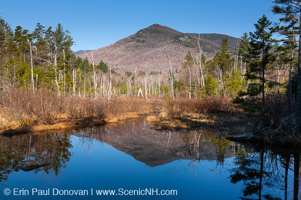 Camp 9 Spur Line - Franconia Brook Trail, Pemi Wilderness