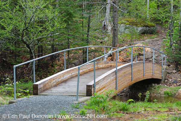 Robertson Bridge - Webster Cliff Trail, White Mountains